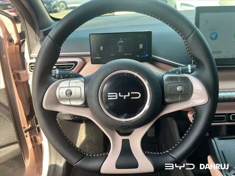 Carro BYD Dolphin Mini 38 Kw Elétrico 2024 - 4147571 - Campinas - SP