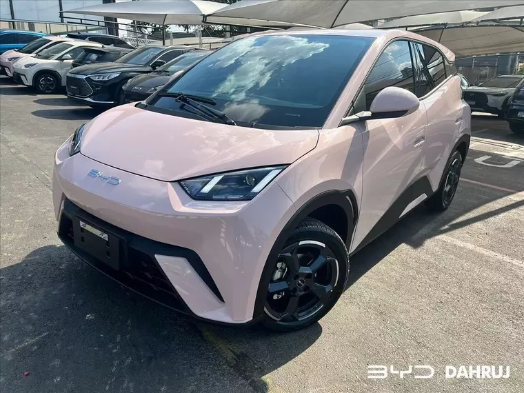 Carro BYD Dolphin Mini 38 Kw Elétrico 2024 - 4147571 - Campinas - SP