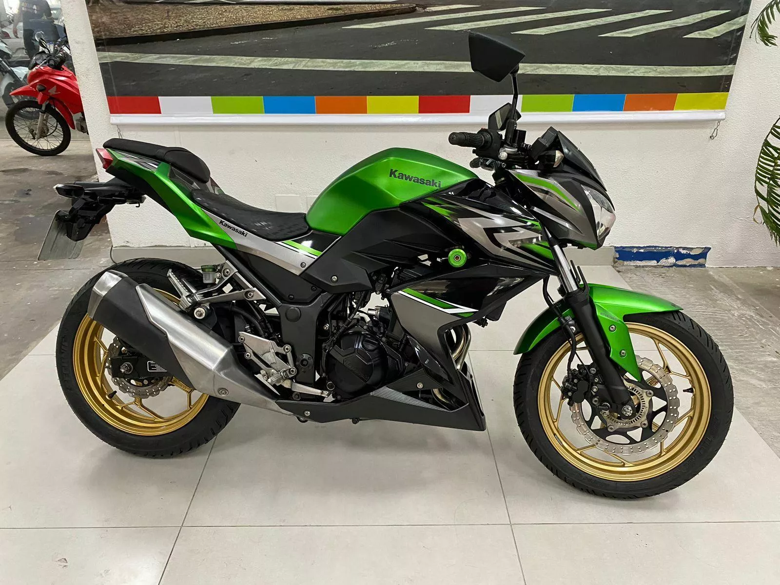 Moto Kawasaki Z 300 ABS - 2018 - 716707 - Rio Claro SP | Moto.com.br