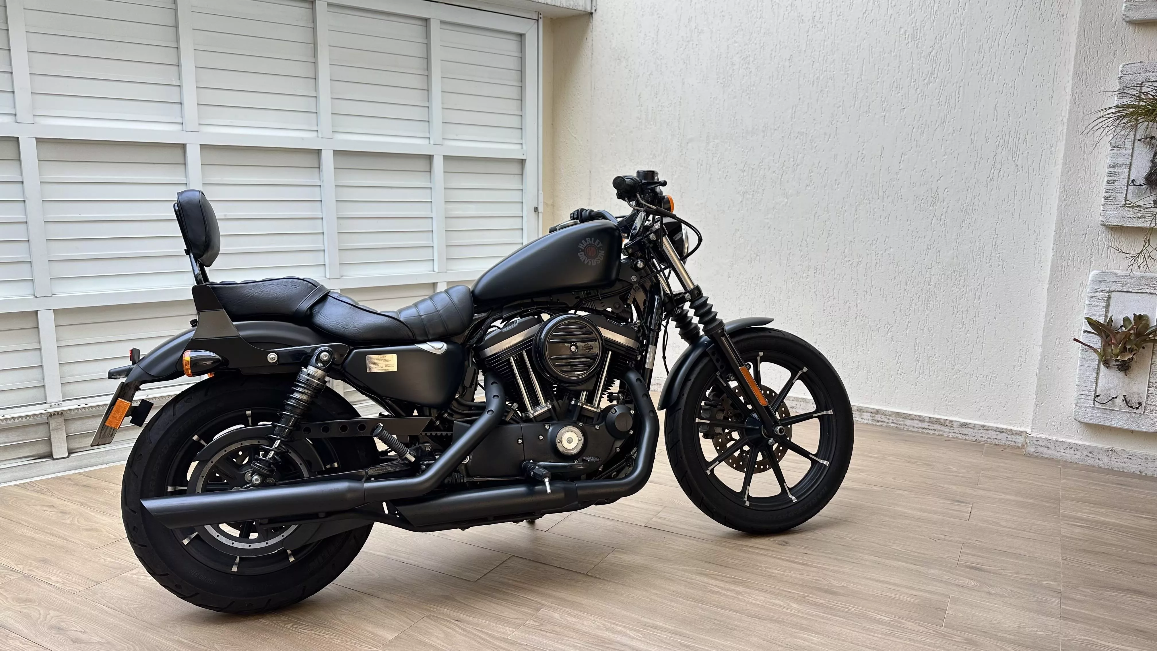 59 Motos Harley-Davidson Sportster 883 à venda em Guarulhos - SP