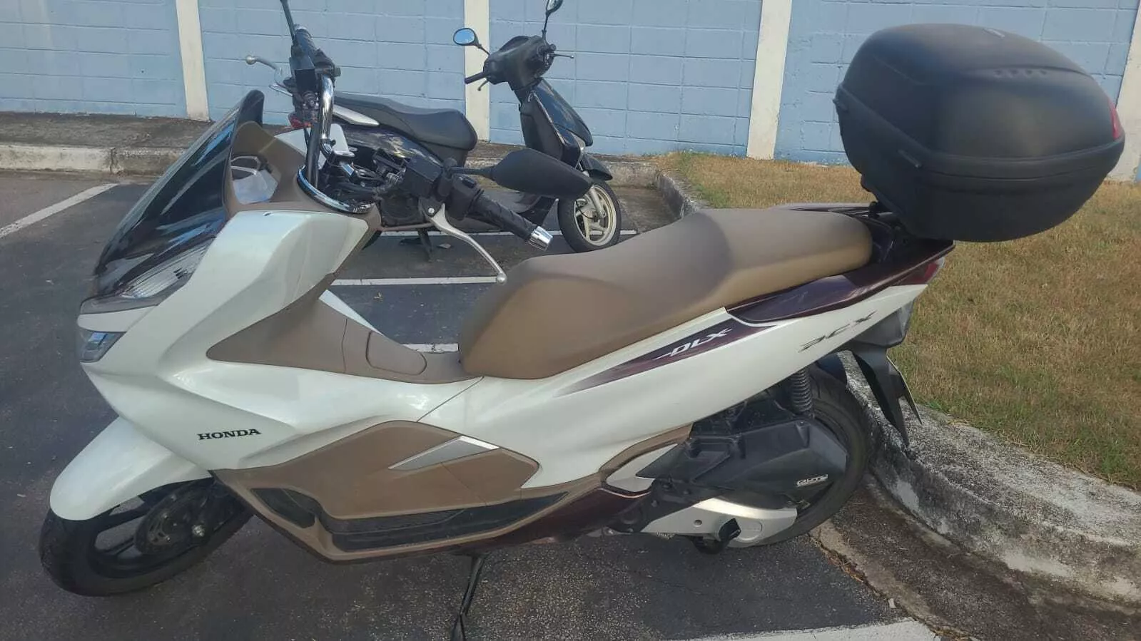 45 Motos Honda PCX à venda em São Paulo - SP