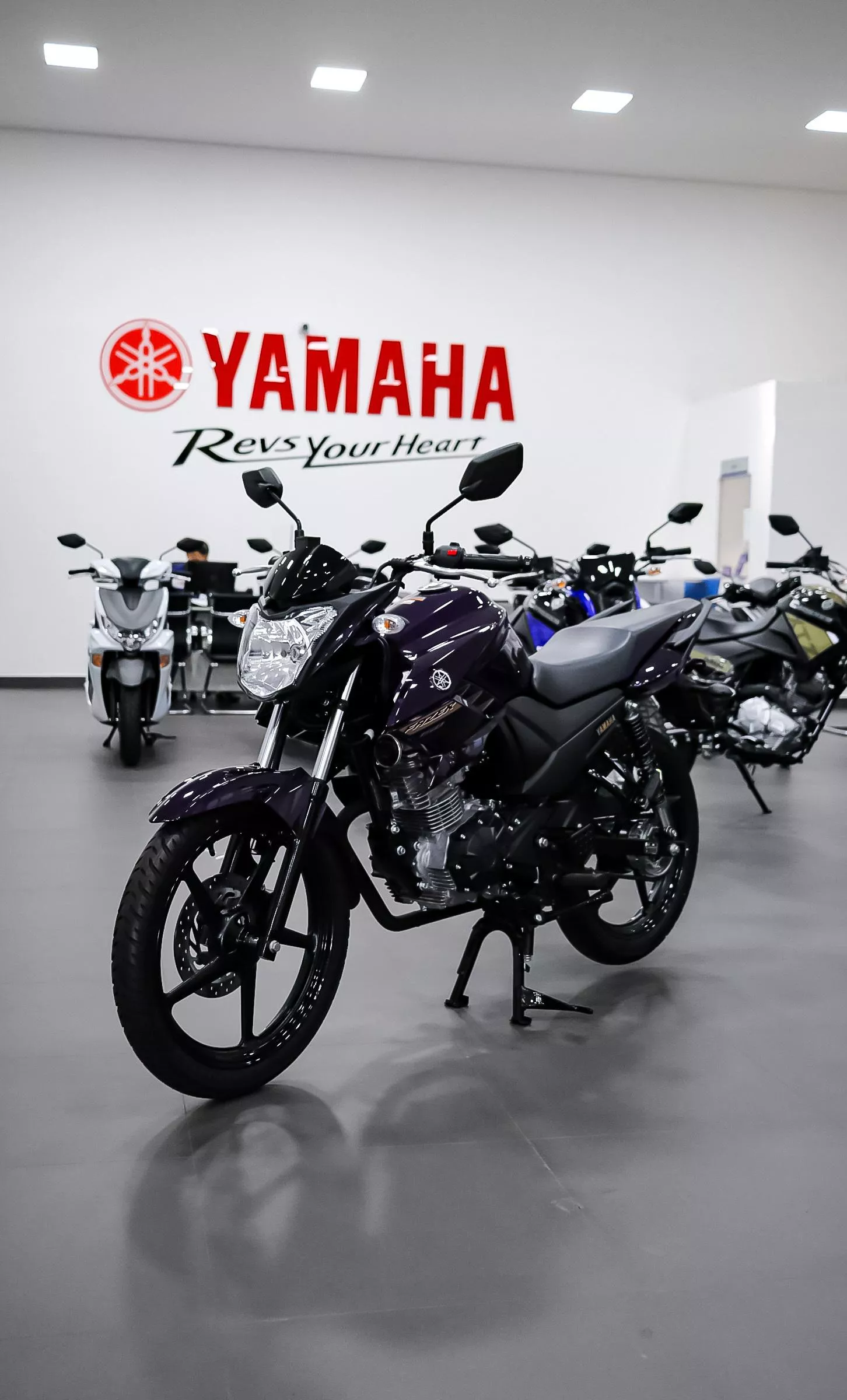 63 Motos Yamaha Fazer 150 à venda